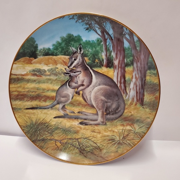 Accents | Endangered Species Kangaroo Wallaby Plate | Poshmark